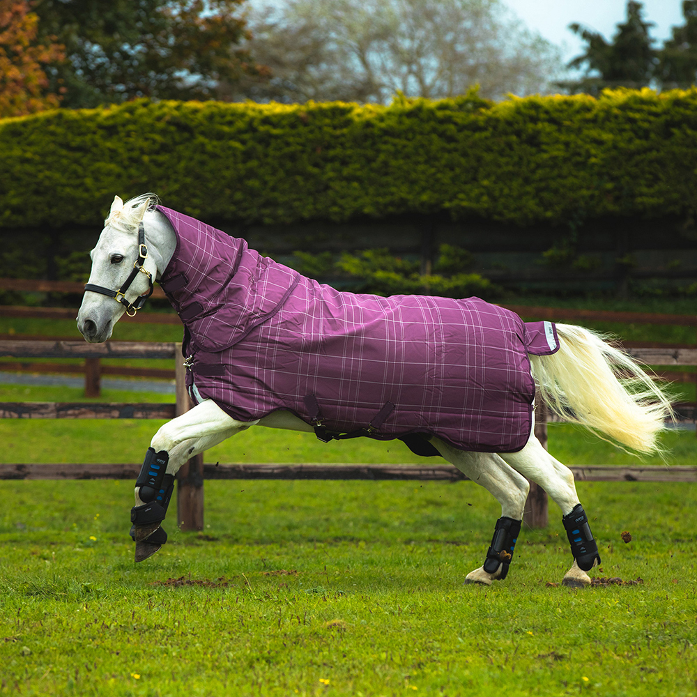 Pony Rug – Gallop Shop